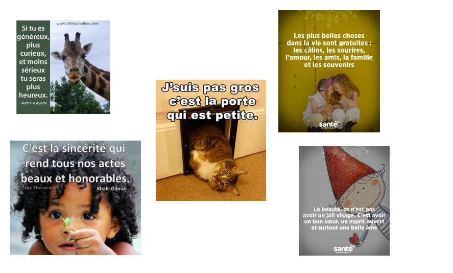 Using memes to show grammar in context | passion4theprofession